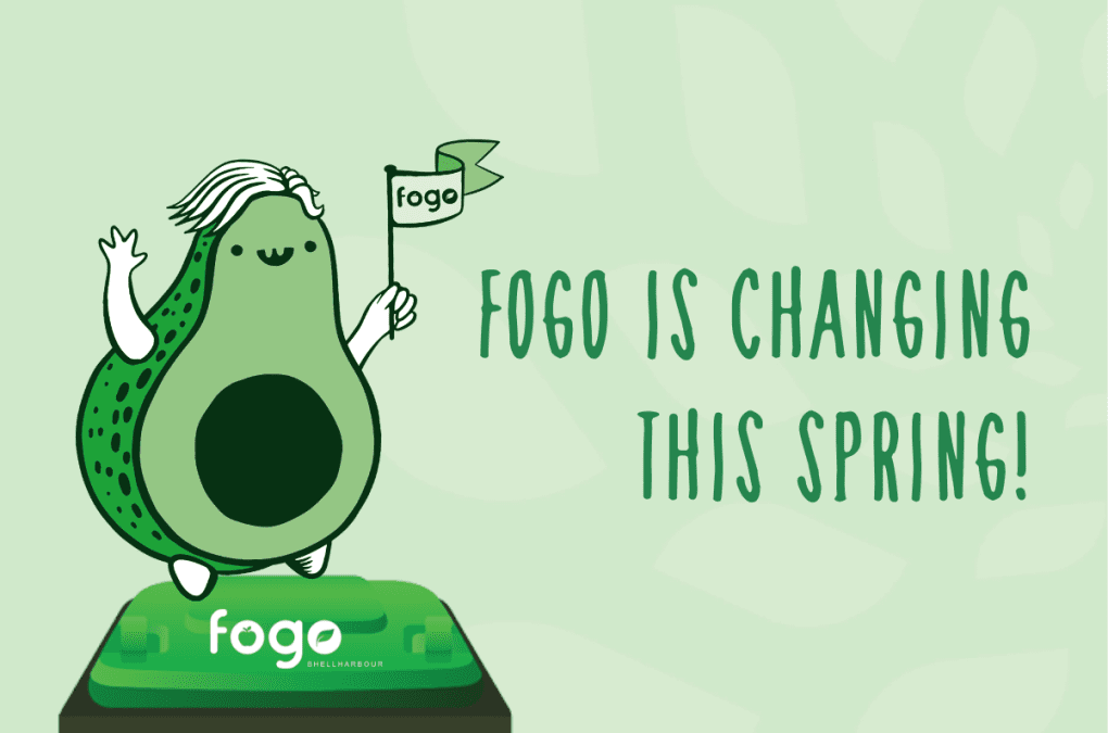 Home - Shellharbour Waste